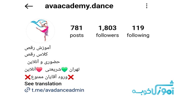 لیست 10 تا از بهترین آموزشگاه رقص عربی در تهران + تلفن و آدرس | آموزش خوبه